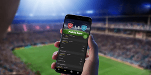 Top Sports Loyalty Programs That Take Fan Experiences to the Next Level ...